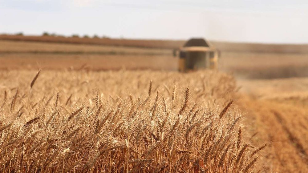 Improved Distribution And Utilization Of Land In Rural Areas - Our ...